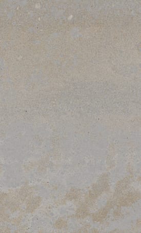 4043 Primordia: Gray Quartz Countertop | Caesarstone